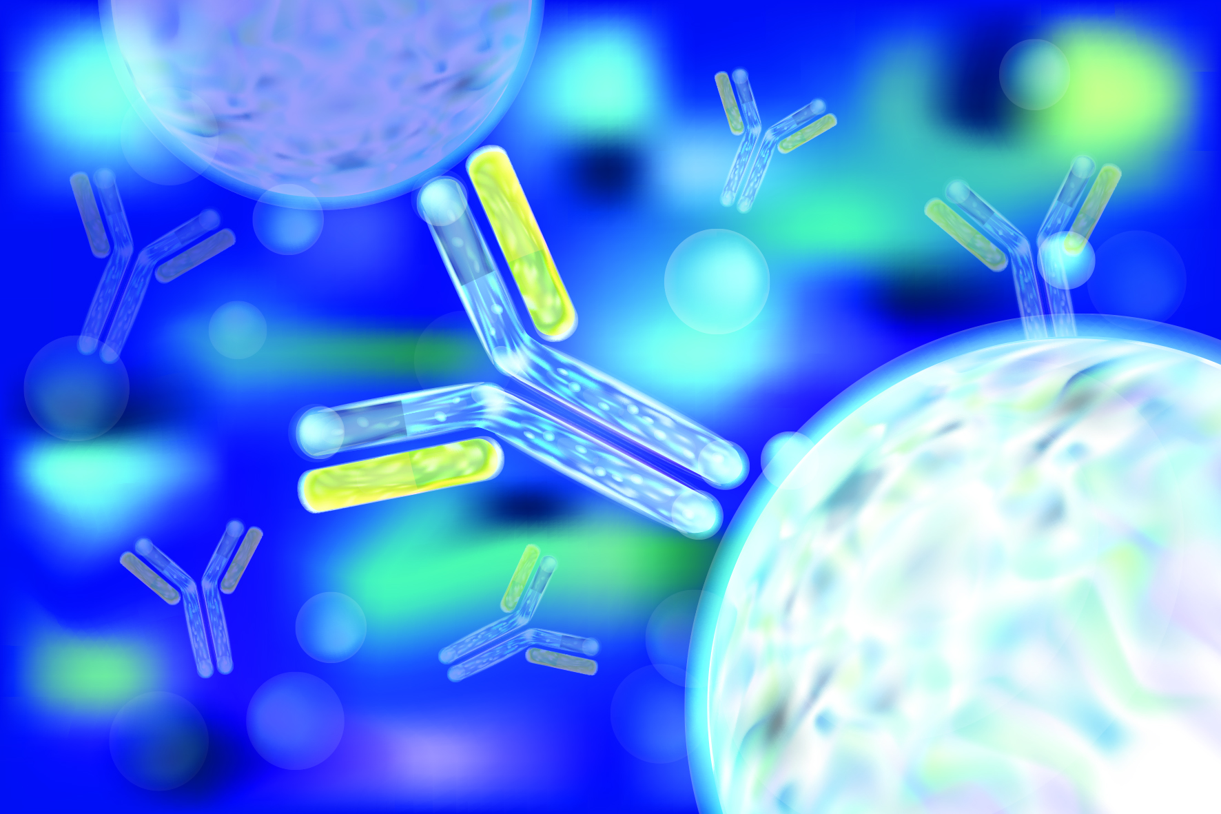 Immunology and Serology – SVL Pathology Lab